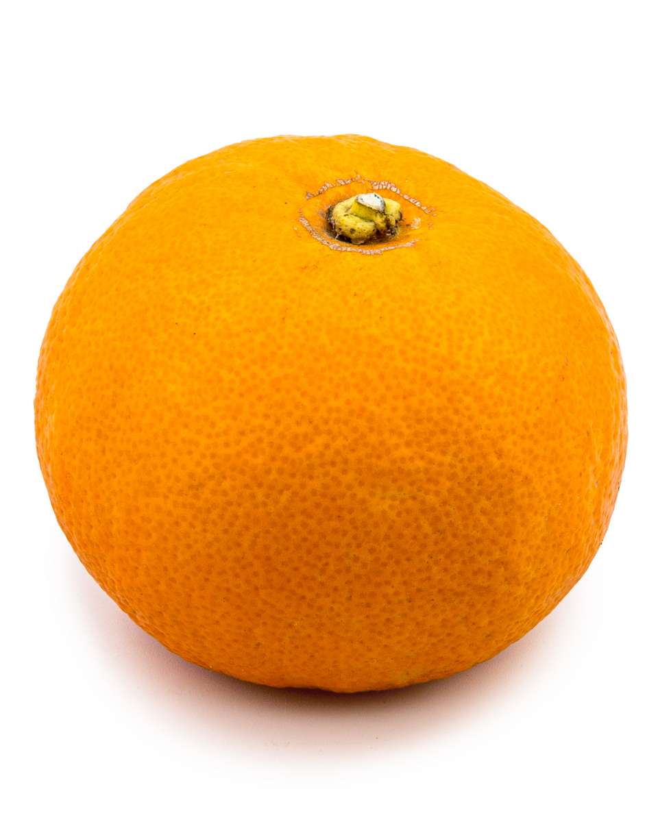 Pomeranze - Narenj jetzt bei Safran "Onlineshop" bestellen !!! | Safran ...